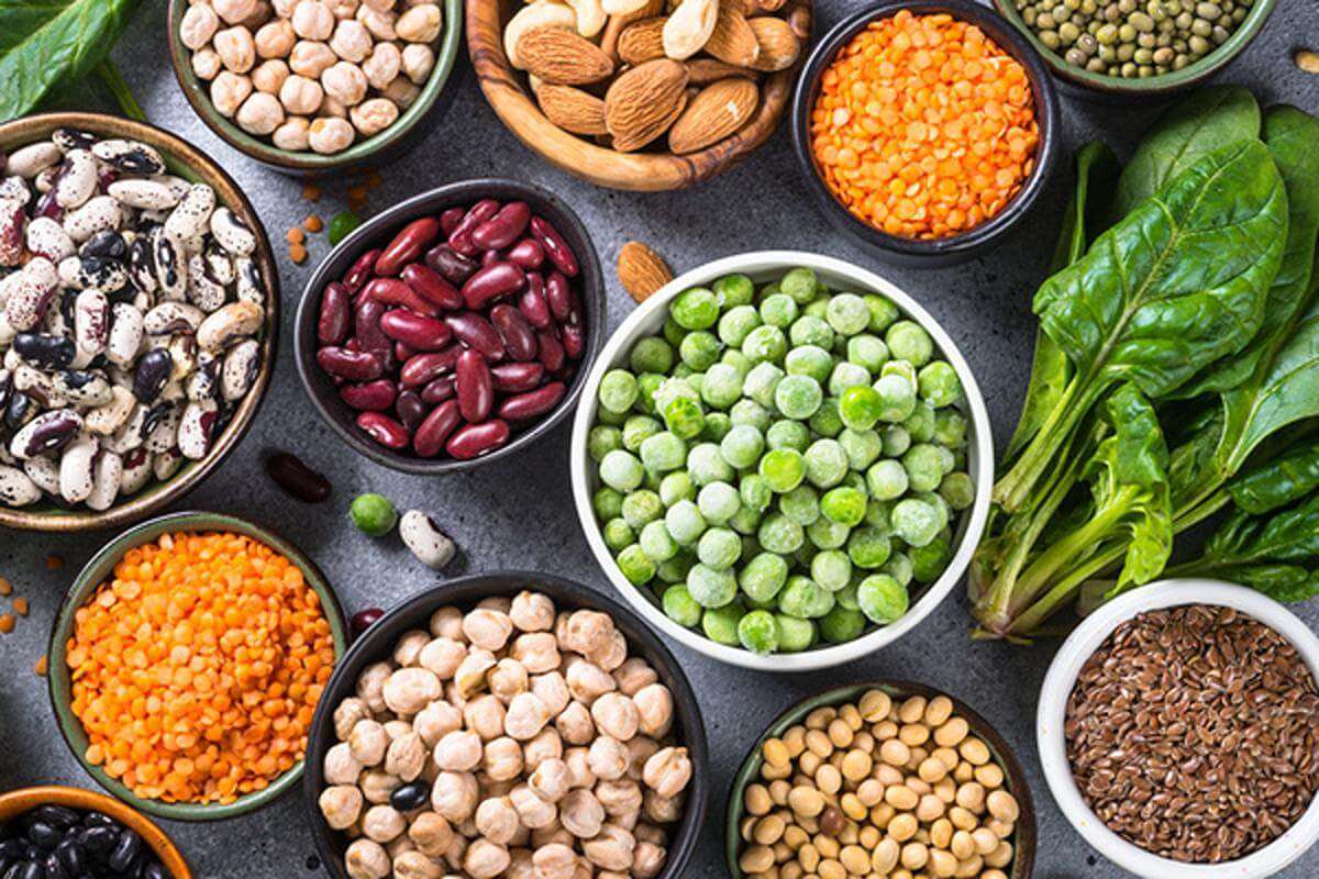 Bestselling Plant-Based Proteins of 2022
